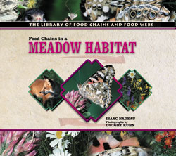 Food Chains in a Meadow Habitat | Rosen Publishing