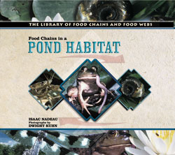 Food Chains in a Pond Habitat | Rosen Publishing