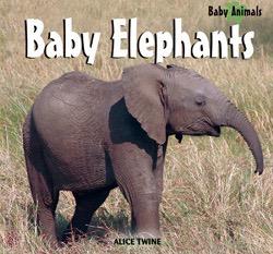 Baby Elephants | Rosen Publishing