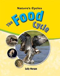 The Food Cycle | Rosen Publishing