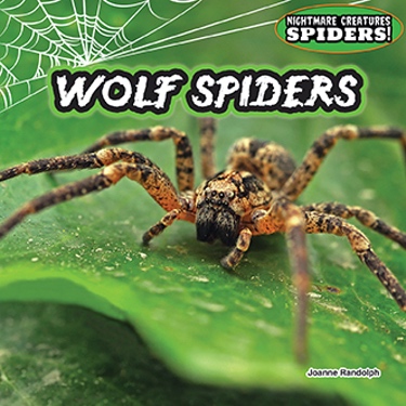 Nightmare Creatures: Spiders! | Rosen Publishing