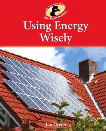 Using Energy Wisely | Rosen Publishing